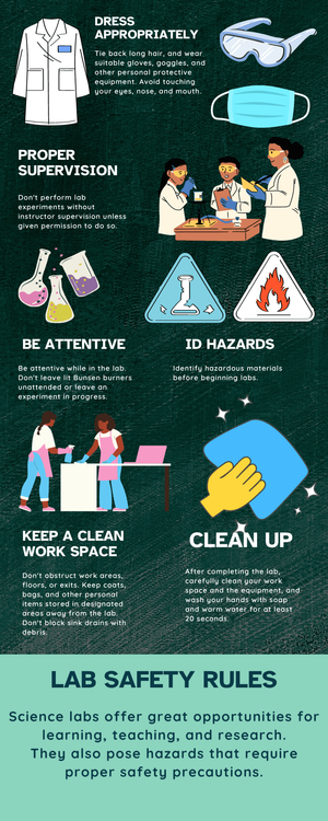 Infographic Lab Safety Rules Lab Safety Rules Science