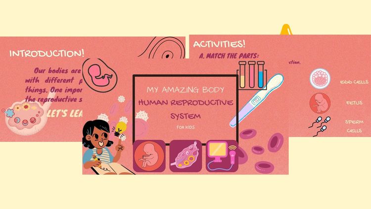 Human Reproductive System For Kids