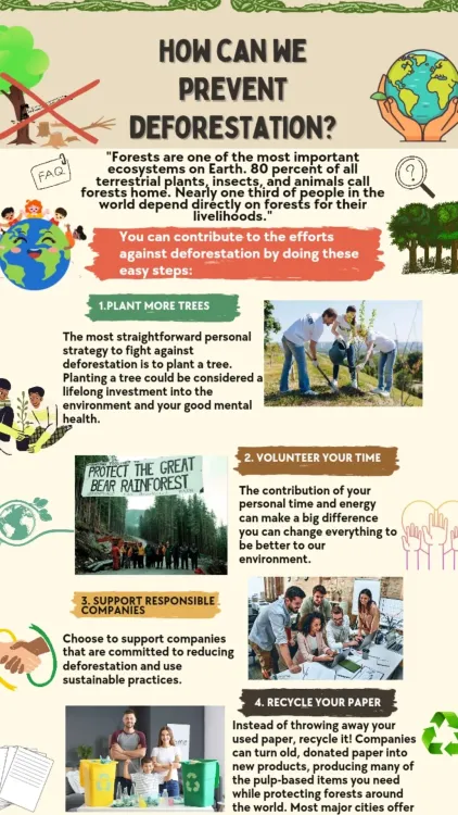 Deforestation Infographic