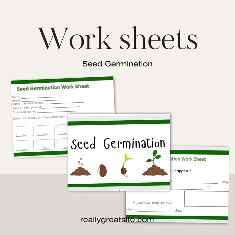 seed germination sheets