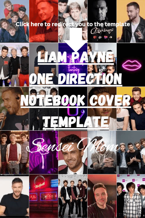 One Direction Header Collage Cover ONE DIRECTION 1D : "INROCK"