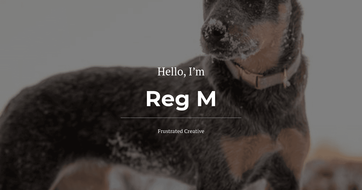 Reg M