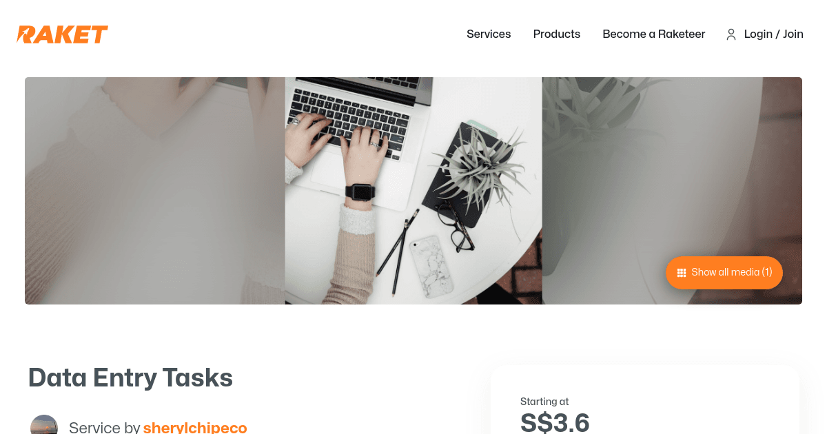 Data Entry Tasks by sherylchipeco - Raket.PH