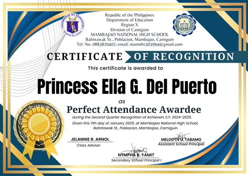 Perfect Attendance Certificate Personalised Attendance Award