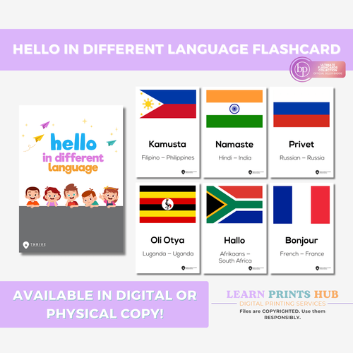 Visual Hub: Your Gateway to Stunning Infographics by lyn_design - Raket.PH