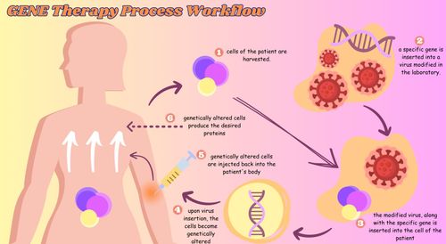 Gene Therapy Process Steps An Introduction To Cell And Gene Therapy