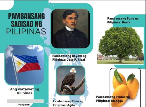 Pambansang Sagisag Ng Pilipinas Flash Card Laminated