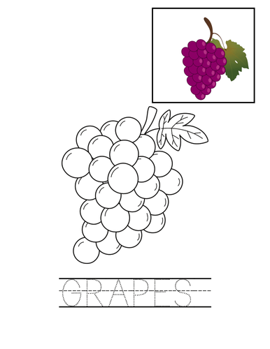 purple grapes coloring page